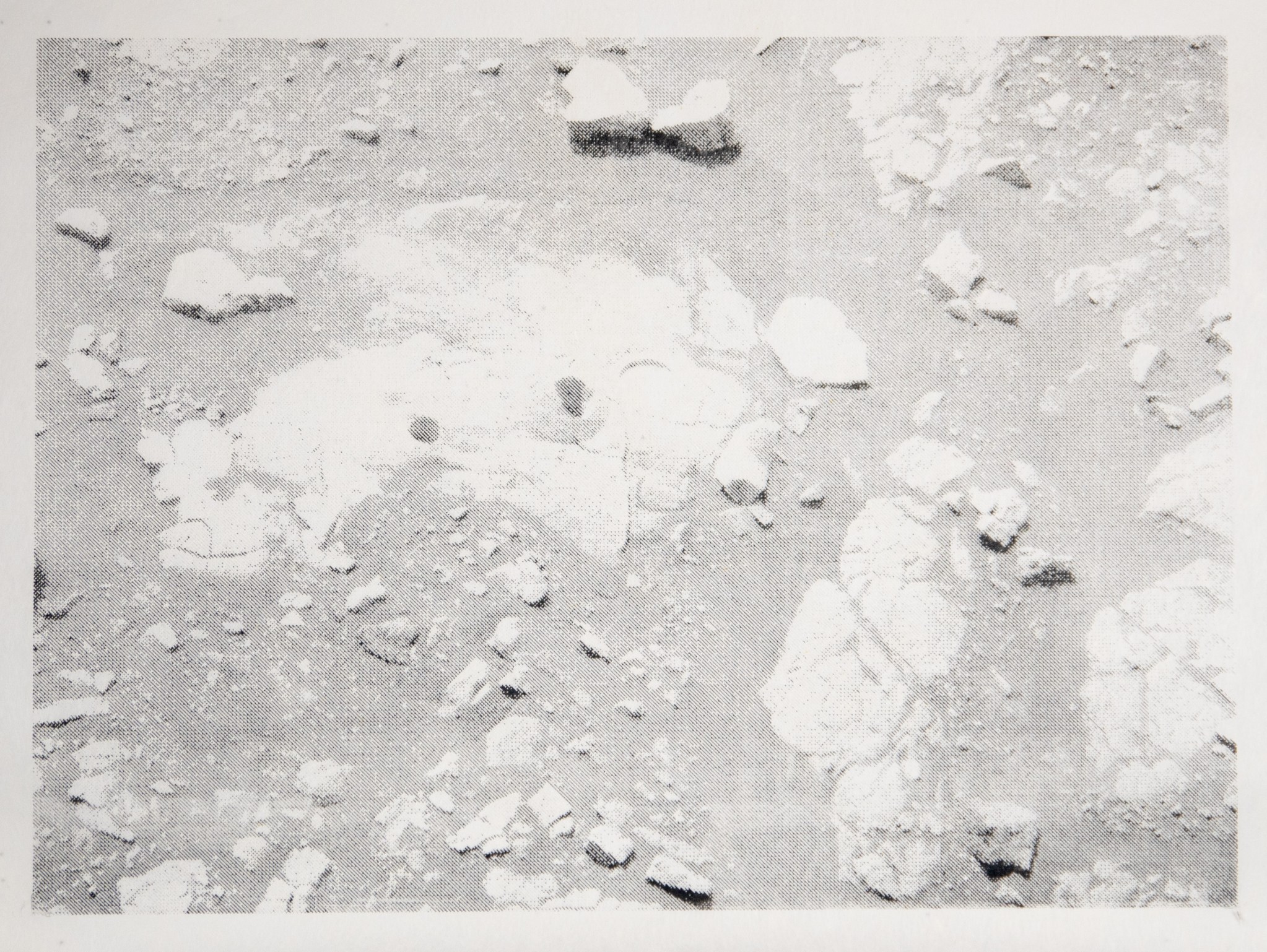 Deborah Santoro – Artist & Curator