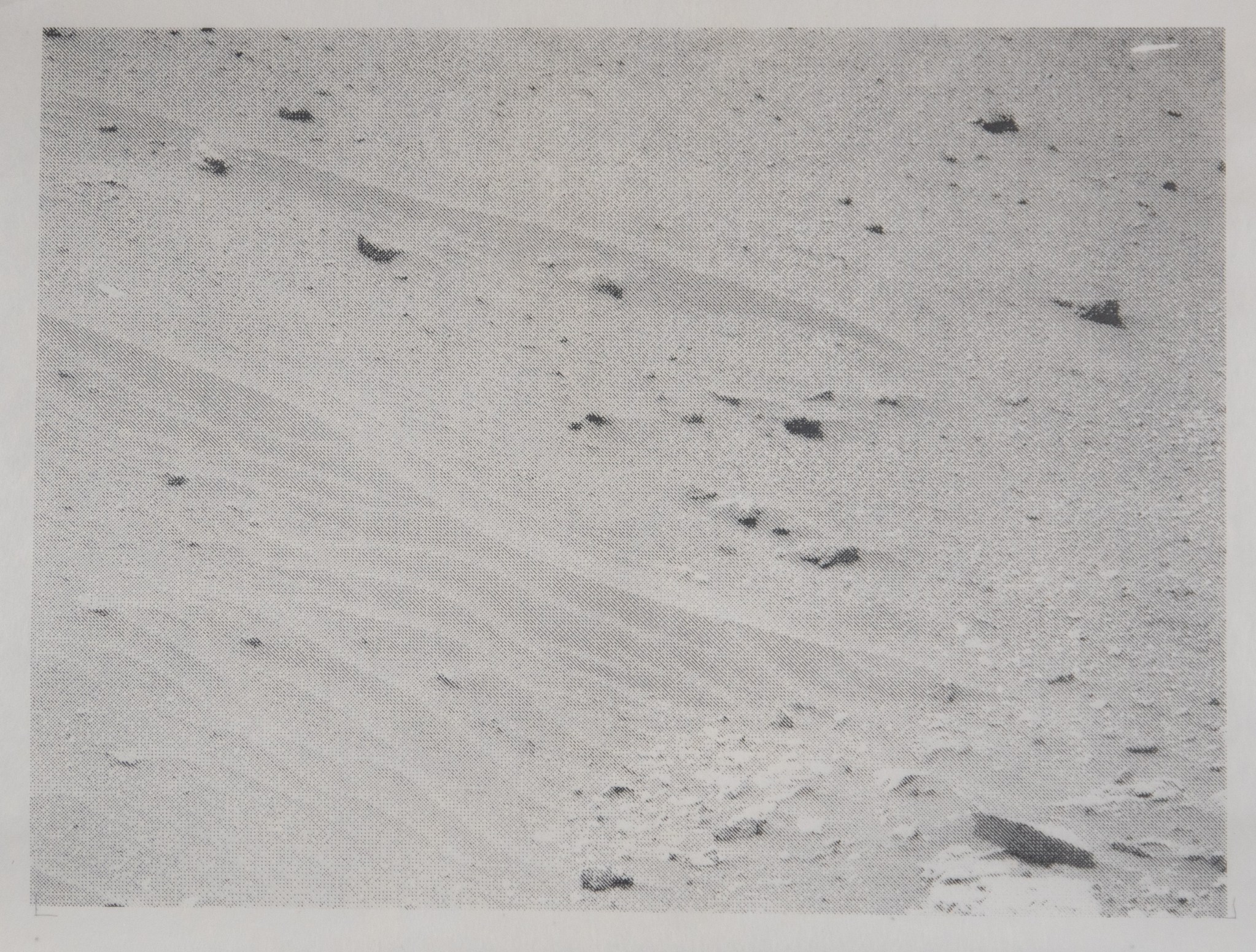 Deborah Santoro – Artist & Curator