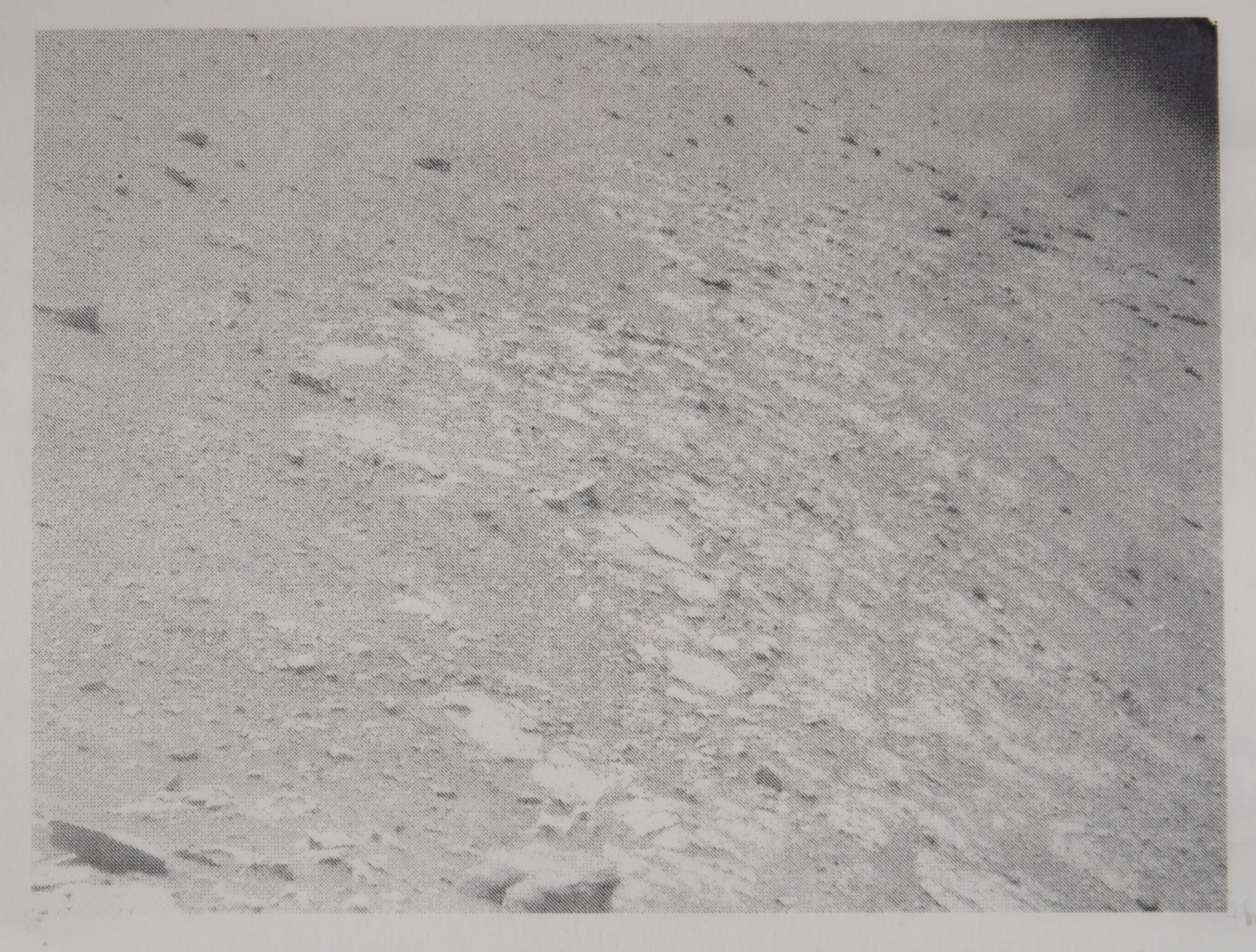 Deborah Santoro – Artist & Curator